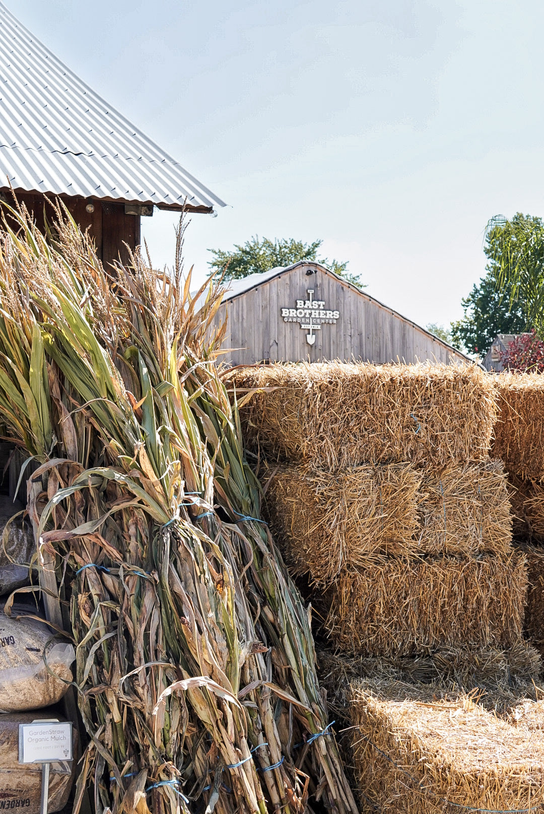 Corn Stalks & Straw Bales – Bast Brothers Garden Center