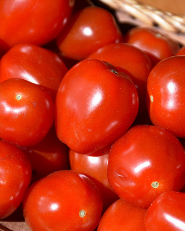 VEG - Tomato Prem. - Tomatoberry – Bast Brothers Garden Center