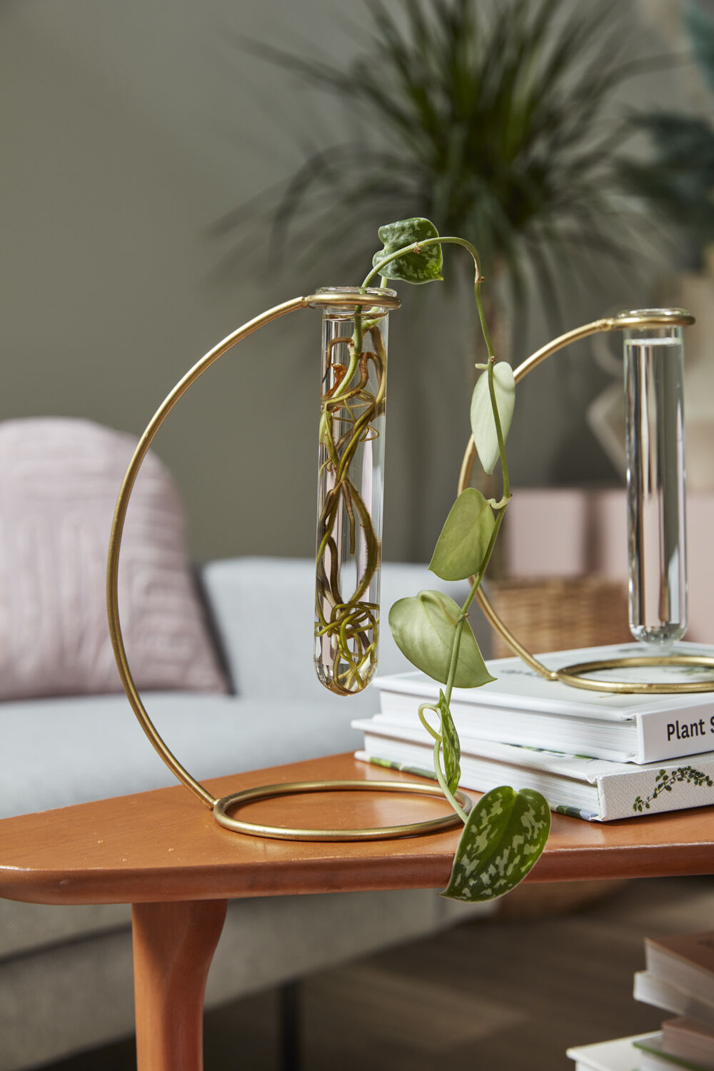 Riviera Propagation Stand, Large – Bast Brothers Garden Center