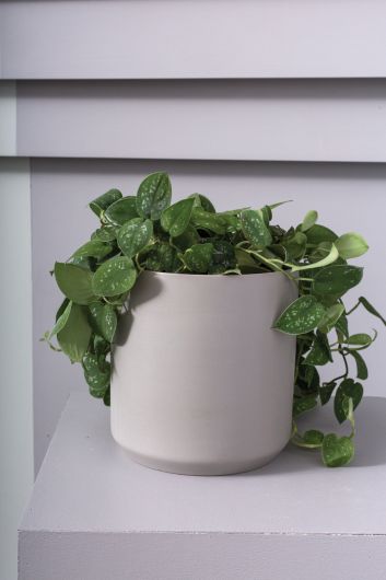 Kendall Pot 7", Gray – Bast Brothers Garden Center